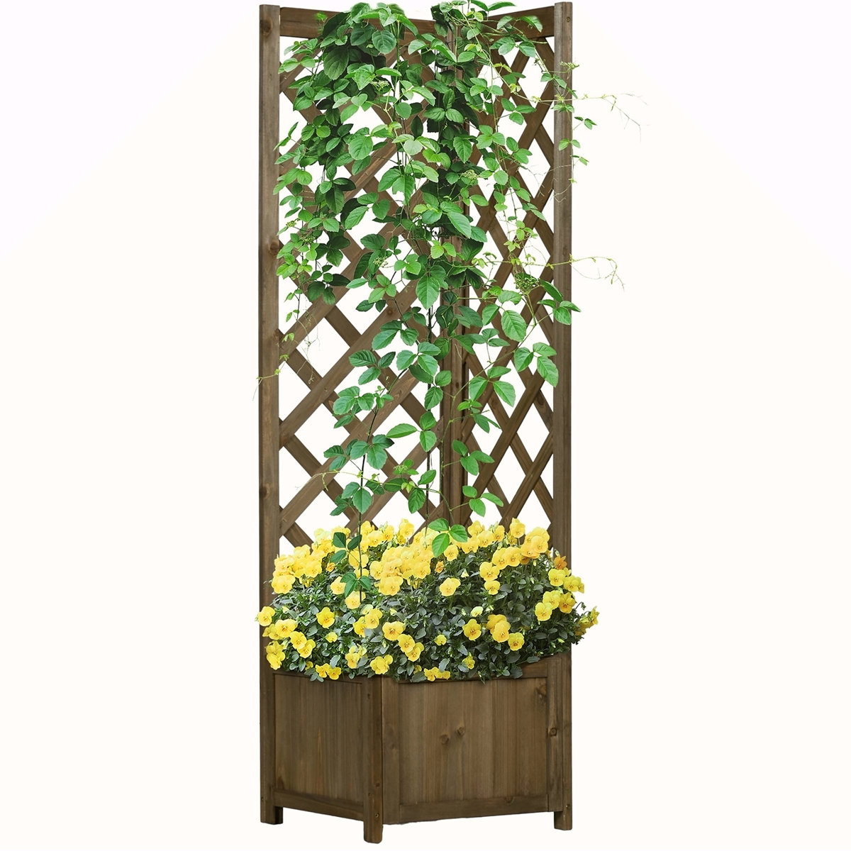 Arlmont & Co. Outsunny Wooden Raised Garden Bed With Trellis, 57" Freestanding Corner Planter ...